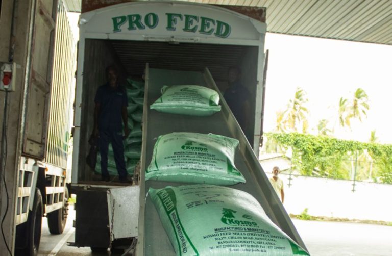 Kosmo Feed Mills – Leading Animal feed Manufacturers in Sri Lanka